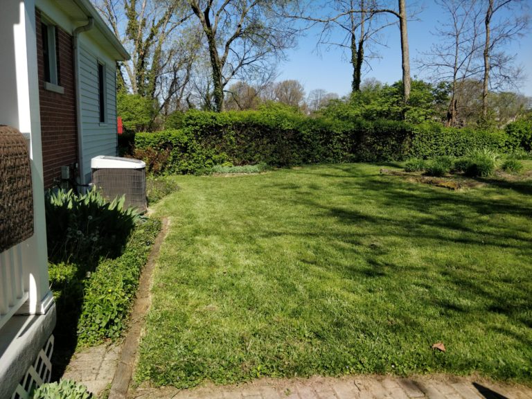 Gardenline Cordless Trimmer (Ferrex Cordless Trimmer / Edger) | Aldi ...