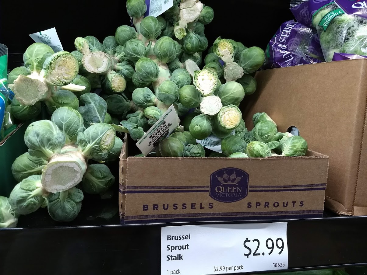 Queen Victoria Brussels Sprouts Stalk | Aldi Reviewer