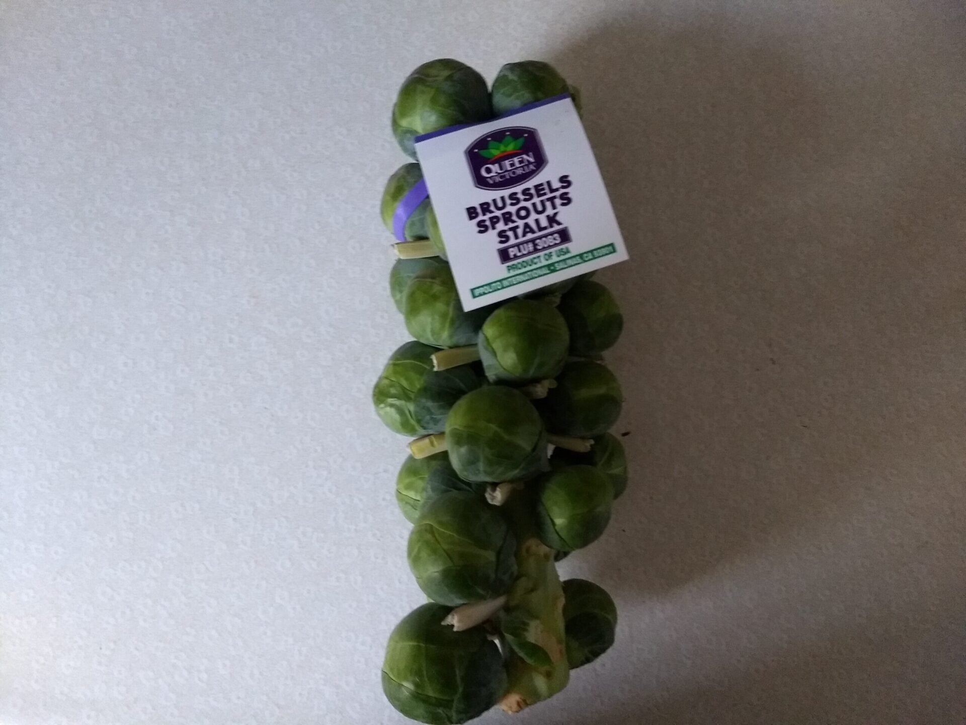 Queen Victoria Brussels Sprouts Stalk | Aldi Reviewer