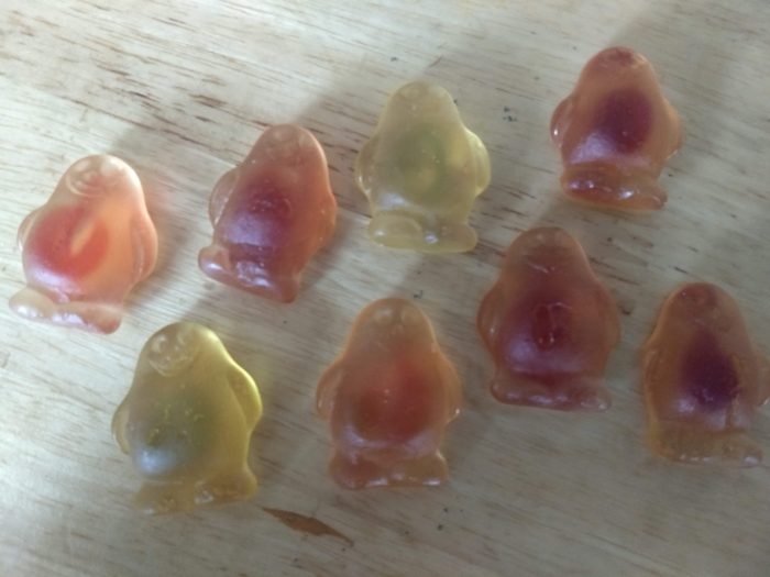 Trader Joe's: Gummy Tummies | Aldi Reviewer