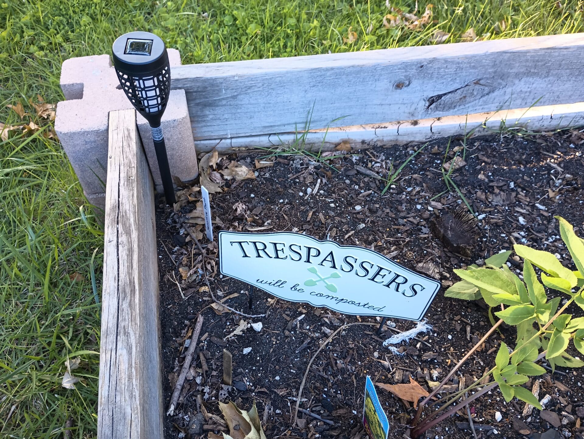 CASALUX 6-Pack Solar Flame Effect Torch | Aldi Reviewer