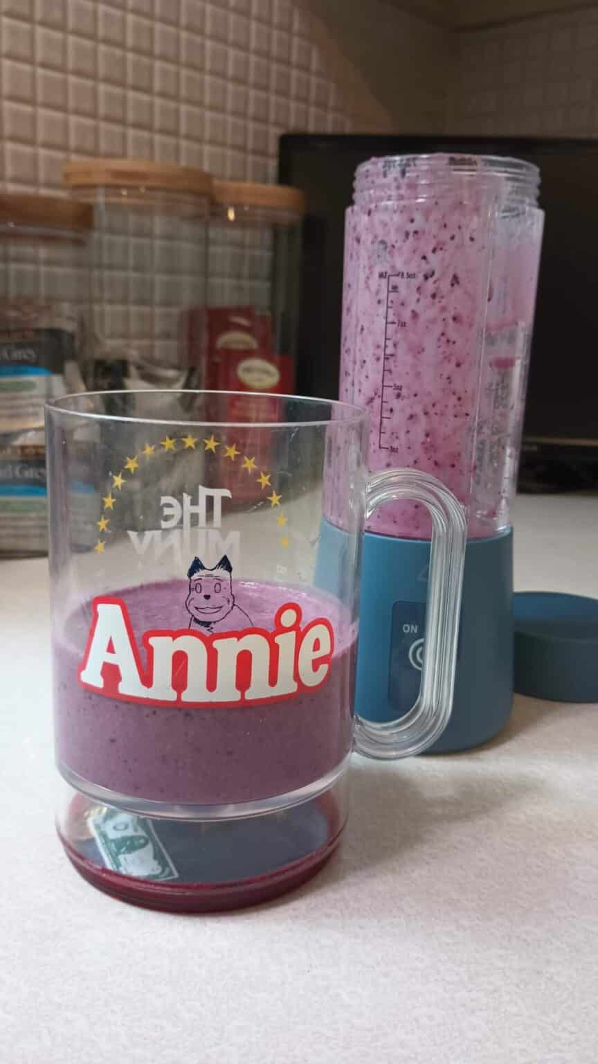 Ambiano Portable Blender | Aldi Reviewer