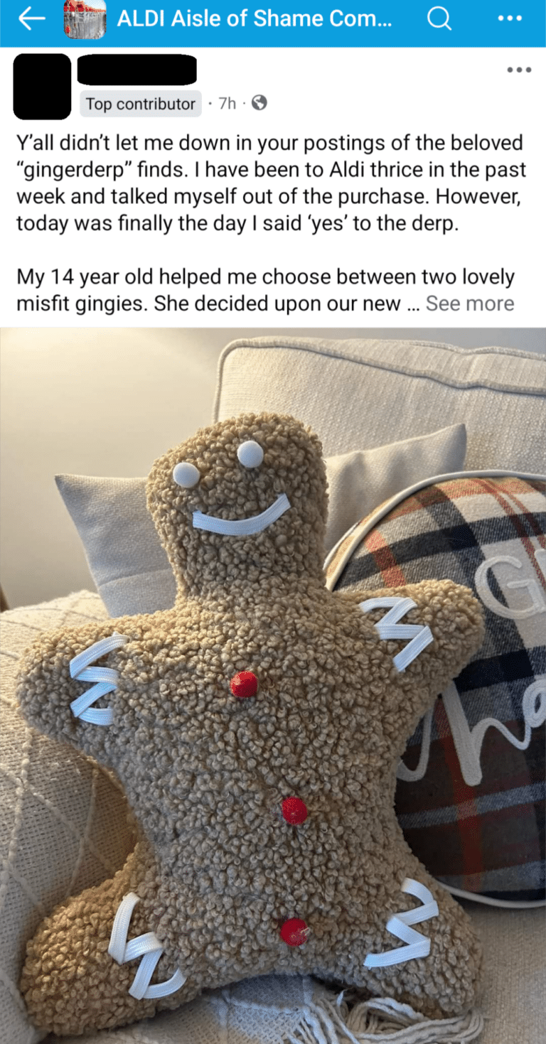 This Quirky Little Aldi Gingerbread Man Pillow is Going Viral | Aldi ...
