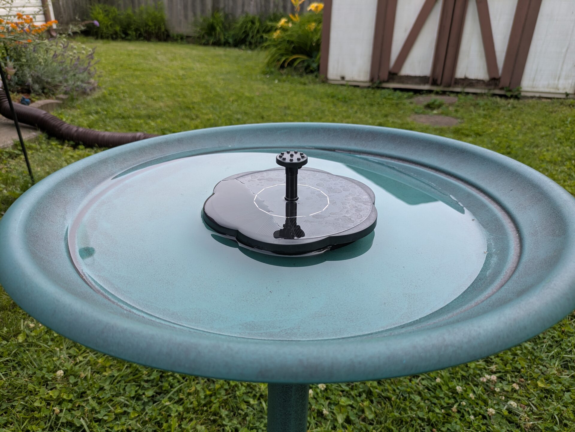 Belavi Bird Bath | Aldi Reviewer